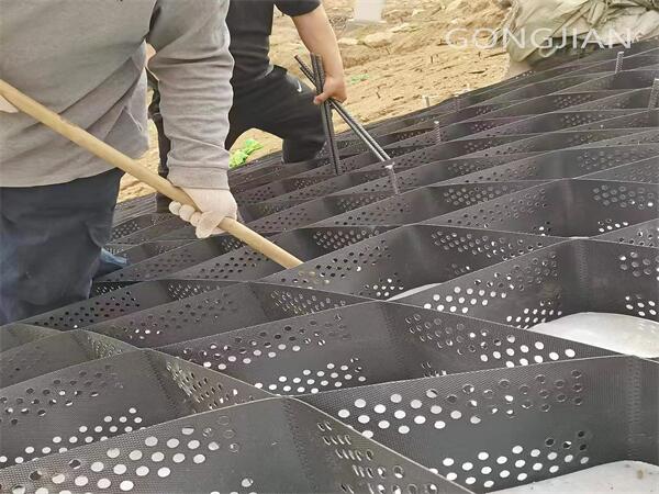 Comparison of Geogrid and Geocell Reinforcement - GONGJIAN
