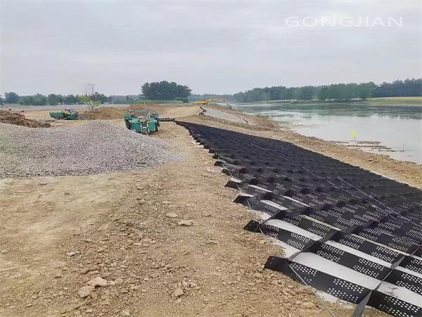 Geogrid vs. Geocell:Differences Between Geocell and Geogrid - GONGJIAN
